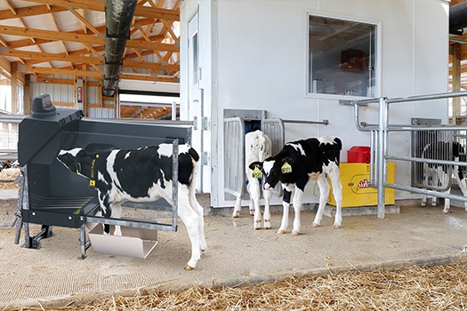 Holm & Laue – Auto Calf Feeder & Hygiene Station, Calf Feeding ...